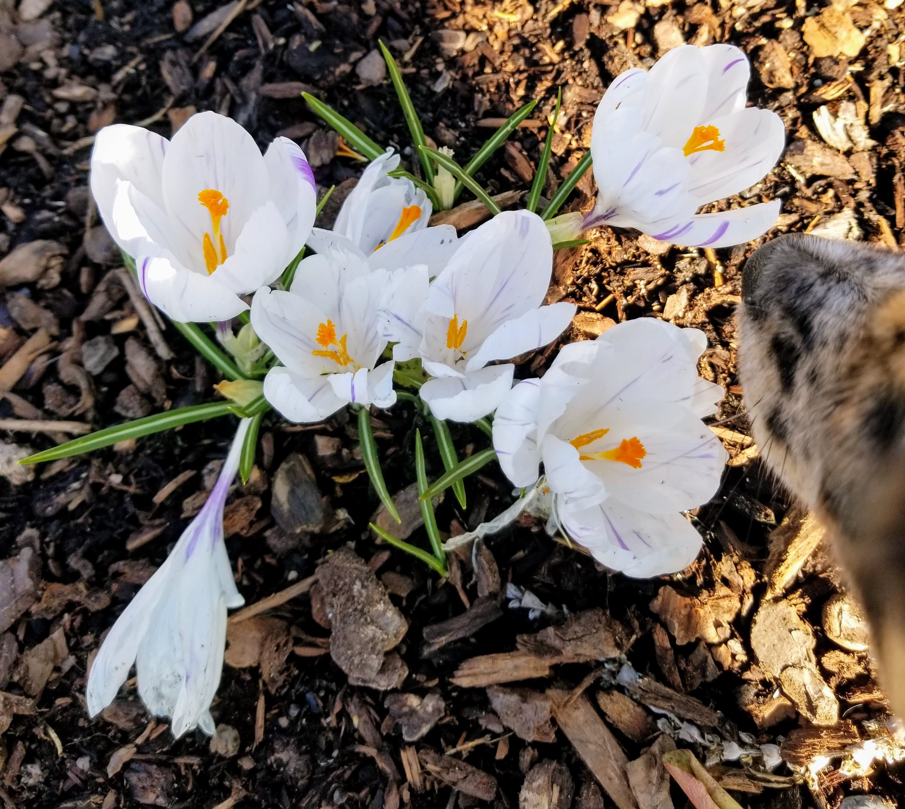 The Spring Equinox… So What’s in a Day… – Salish Sea Cruising With ...